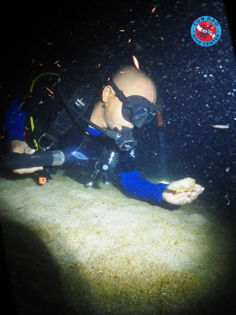 1 tank & 2 tank NIGHT DIVE - Con Dao Dive Center